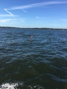 Day 35 – Oct 10, 2017 – Little Choptank River – Bob and Tarja's ...